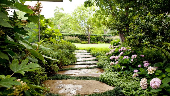 Dallas Landscaping Services | Landscape Company | Southern Botanical