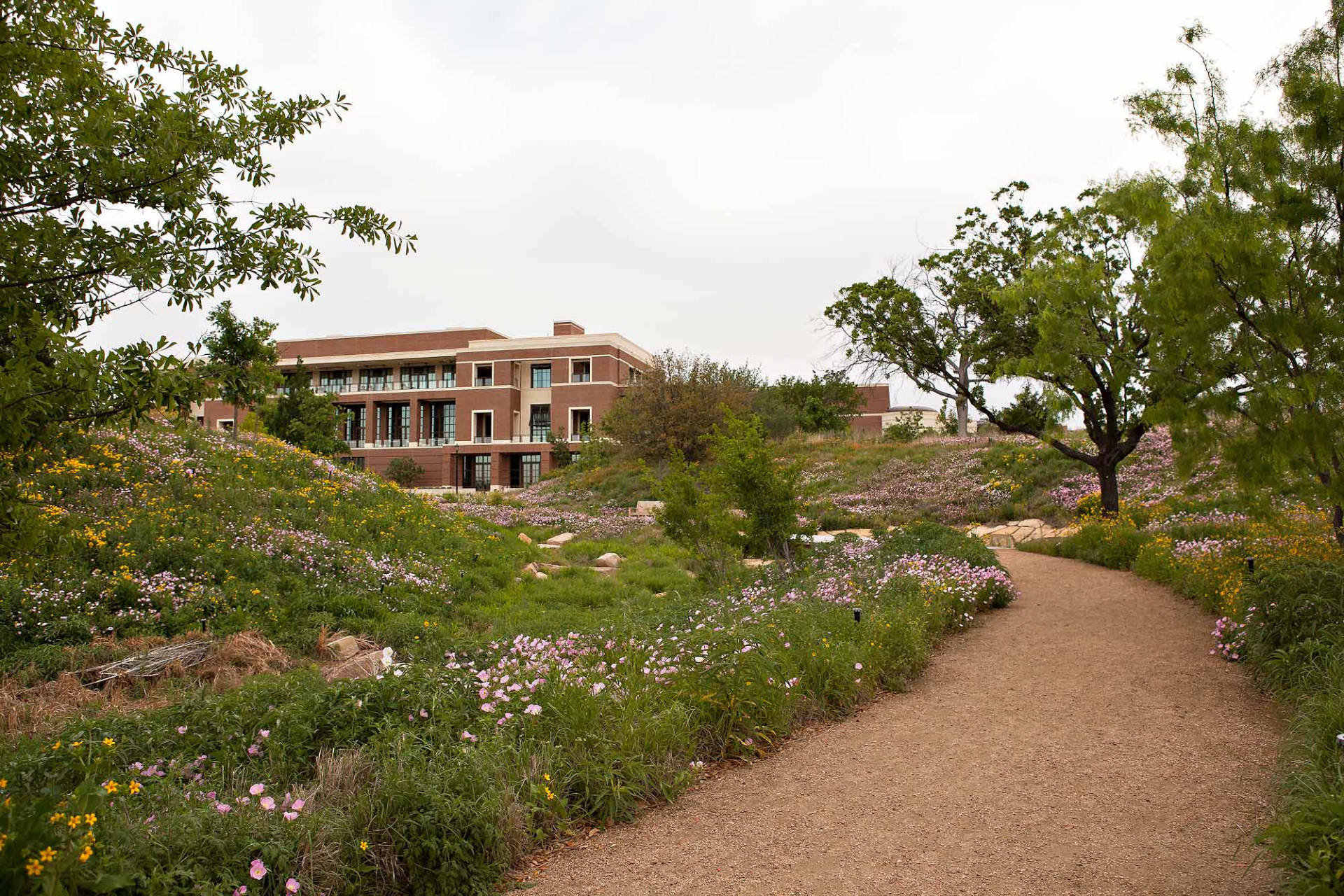 George W. Bush Presidential Center | Dallas Commercial Landscaping