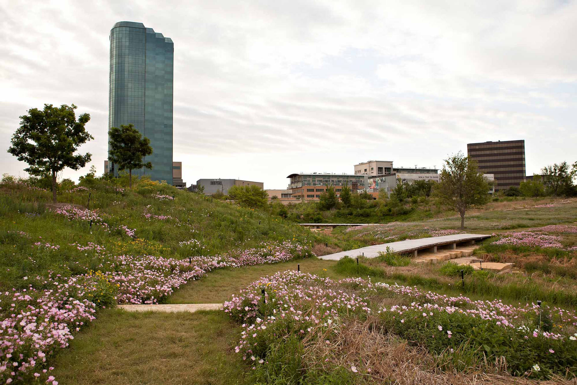 George W. Bush Presidential Center | Dallas Commercial Landscaping