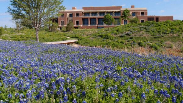 Dallas Landscaping Services | Landscape Company | Southern Botanical