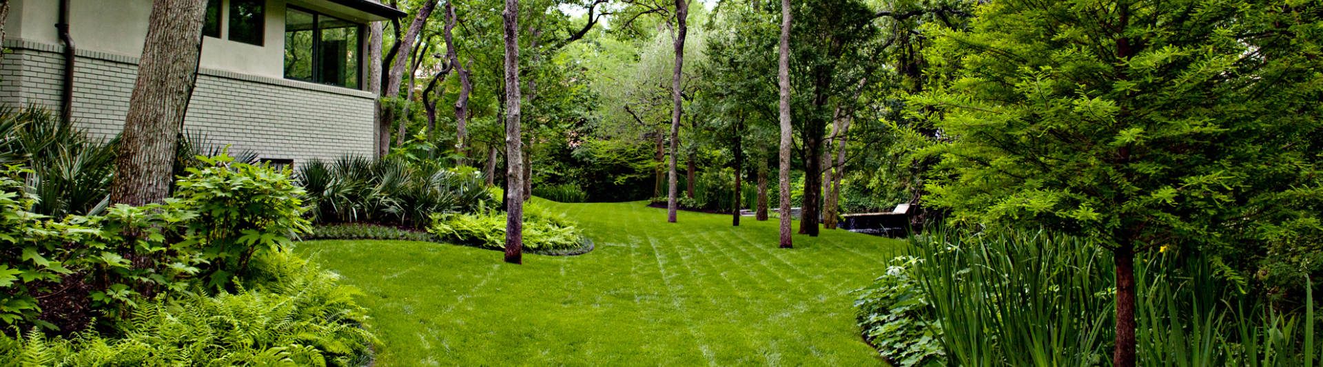 Lawn & Landscape Maintenance Services in Dallas | Southern Botanical