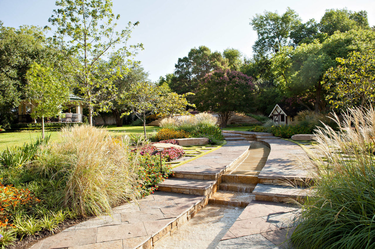 A Complete Guide on Planting Trees & Shrubs in Autumn