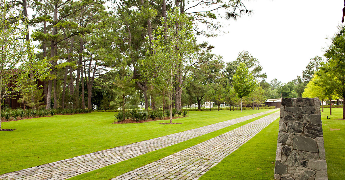 The Benefits of Turf Aeration | Southern Botanical