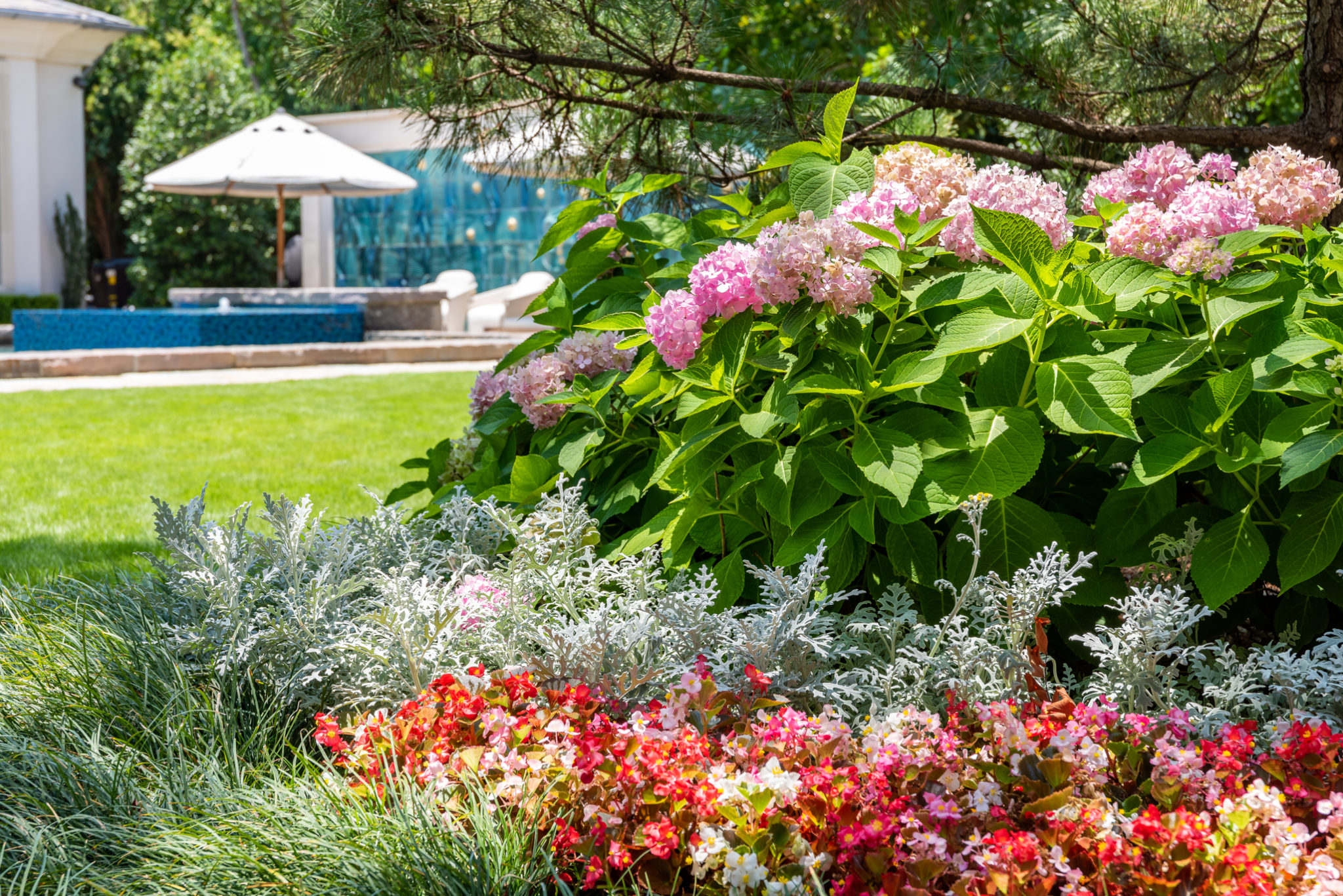 North Dallas Residence - Southern Botanical