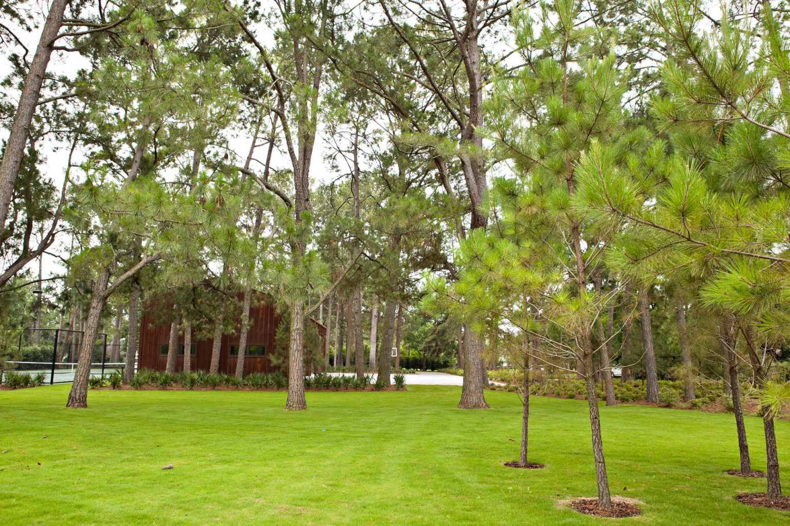 Vertical Mulching - Southern Botanical