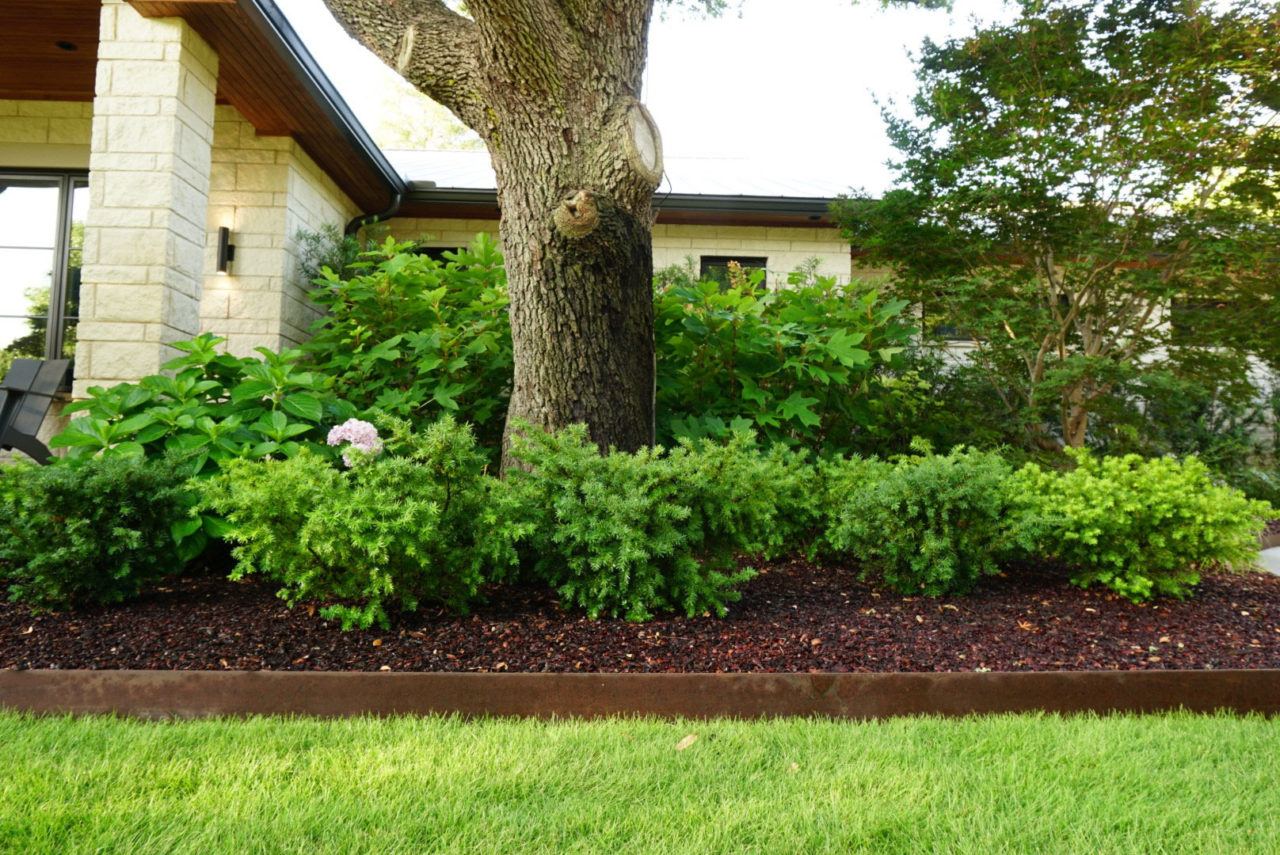 Vertical Mulching - Southern Botanical