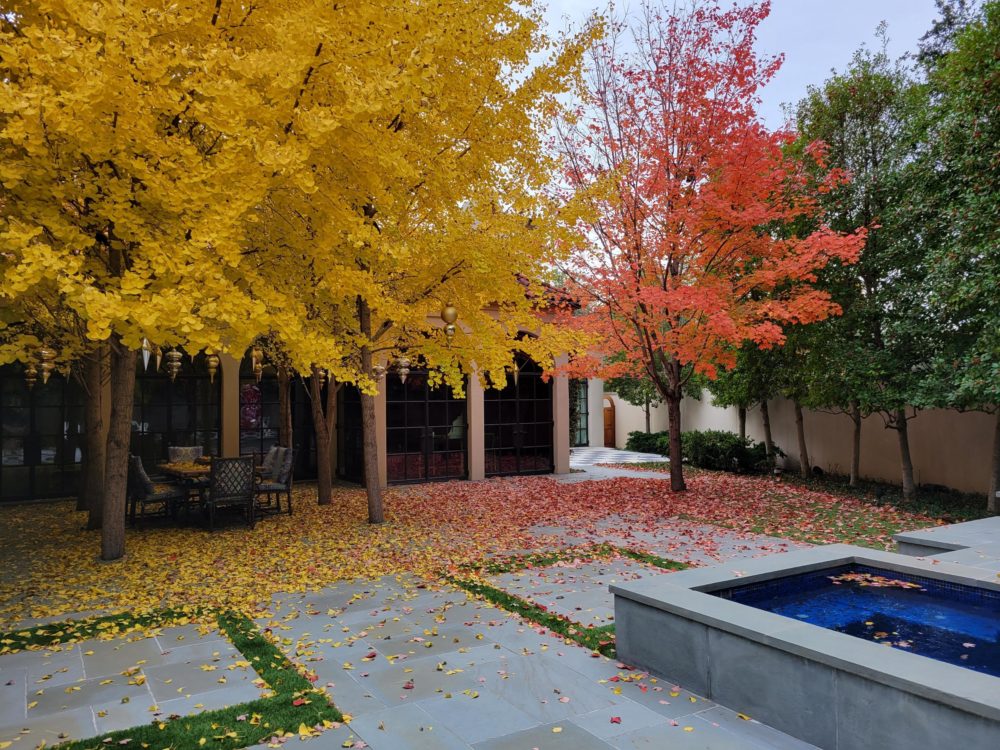 The Science Behind This Year's Spectacular Fall Color - Southern Botanical