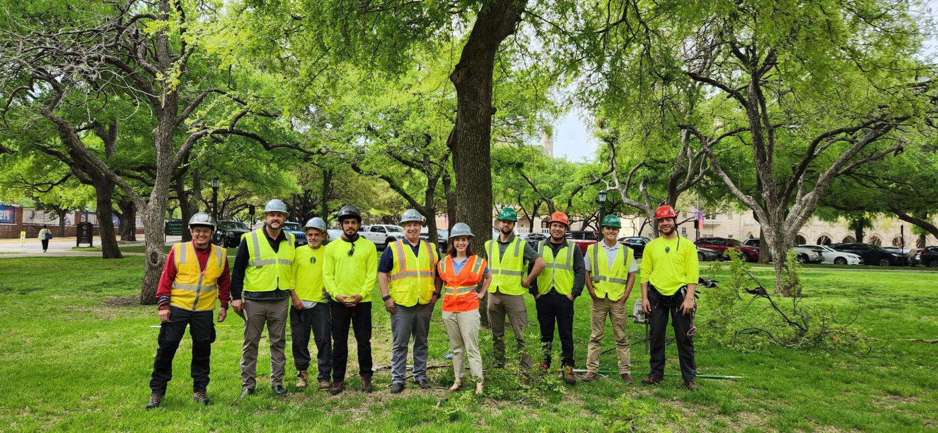 Frontline Careers at Southern Botanical | Landscaping & Tree Services
