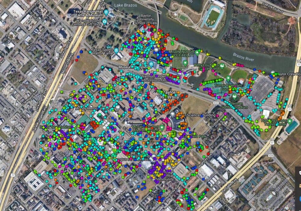 Tree Care Services in Dallas, Texas | Southern Botanical