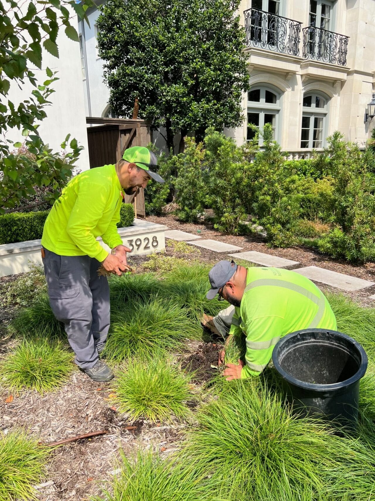 Frontline Careers at Southern Botanical | Landscaping & Tree Services