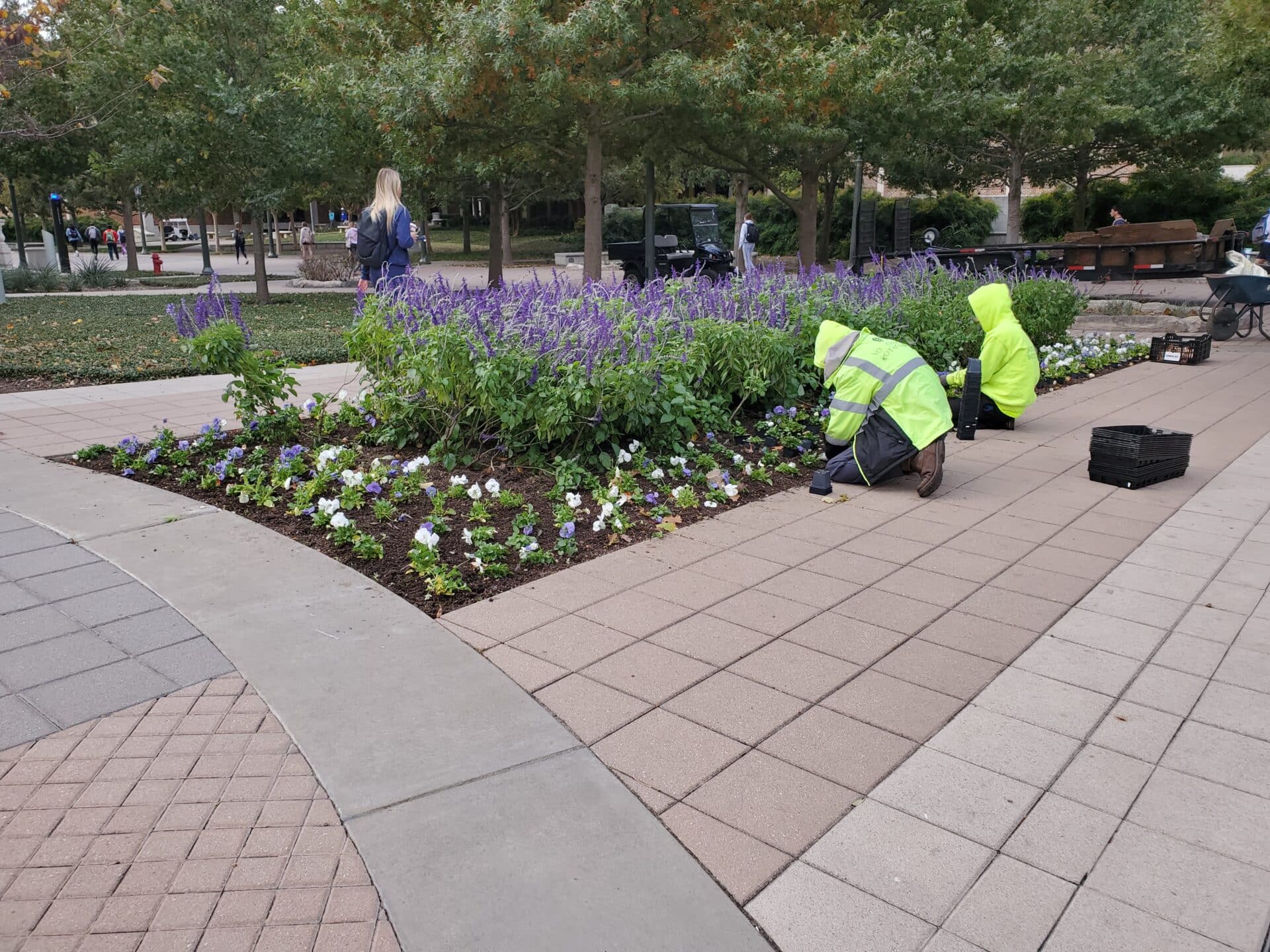 Autumn Planting is Key to Landscape Enhancements - Southern Botanical