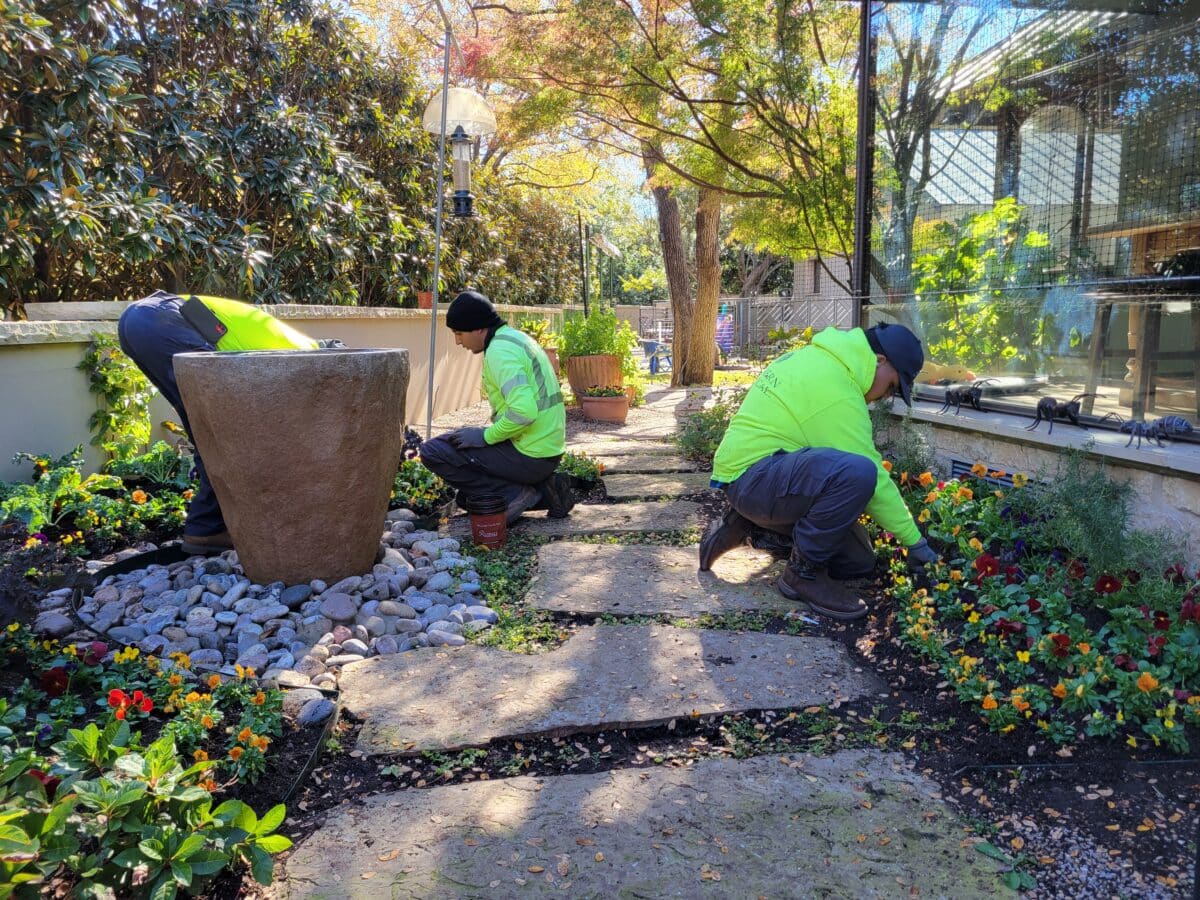 Fall Color Rotation and Cleanup - Southern Botanical