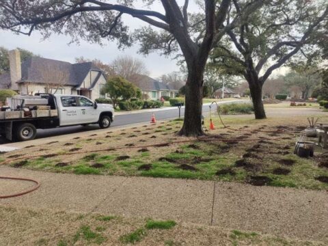 What is Vertical Mulching and How Does It Benefit Trees? - Southern ...