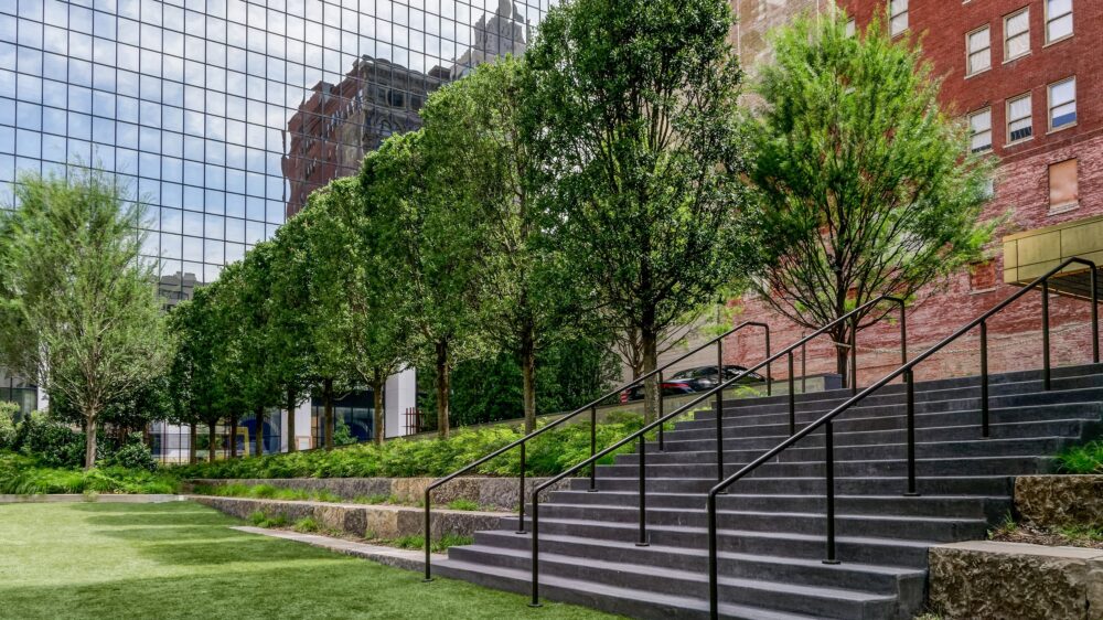 Tasset Eye Park - Southern Botanical