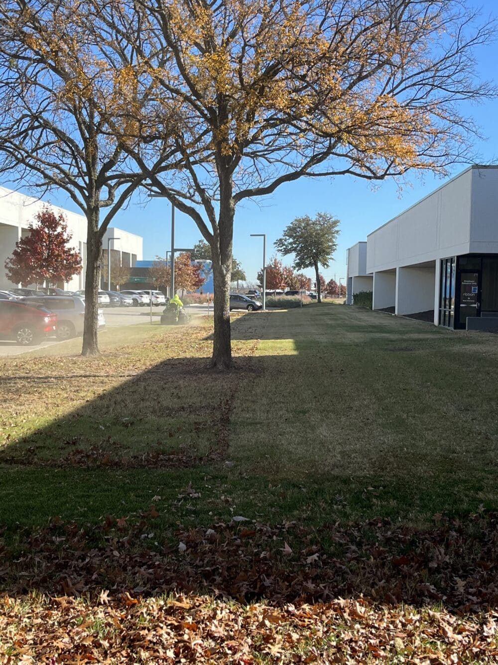 Top 5 Reasons to Consider Mulching Your Leaves This Fall - Southern ...