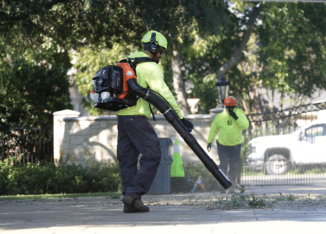 Effective Leaf Management for Commercial Properties in North Texas ...