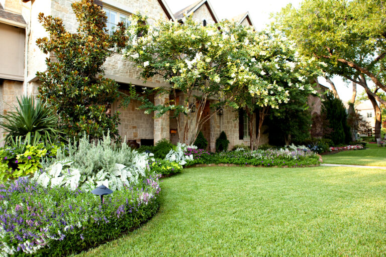 Is King Ranch Bluestem a Weed? - Southern Botanical